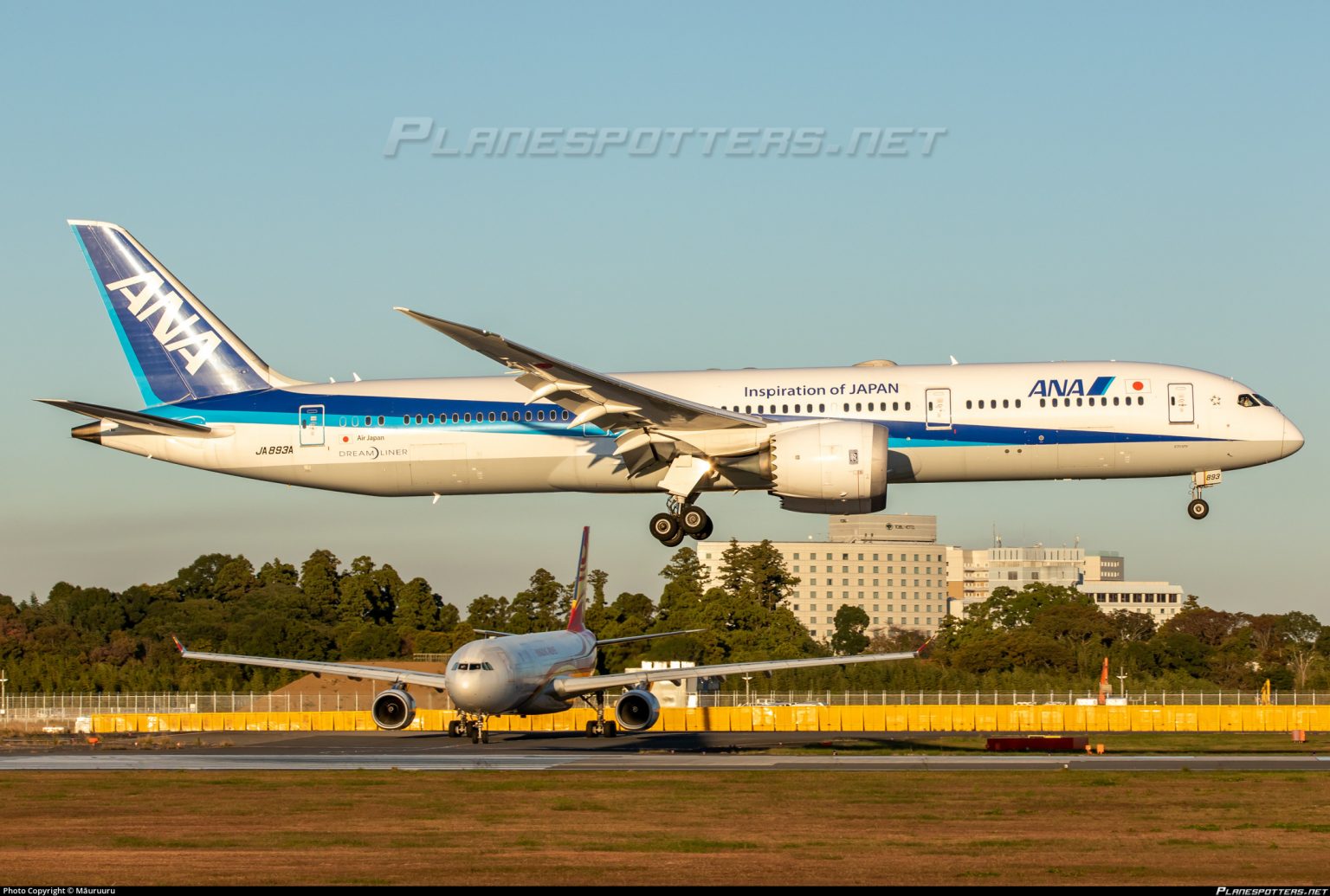 Tabulator tickCross のチェックボックス – Saoline Tips