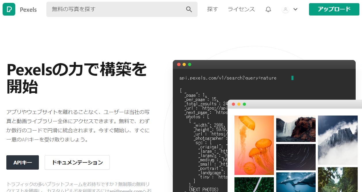 Pexels PhotoSearch API – Saoline Tips